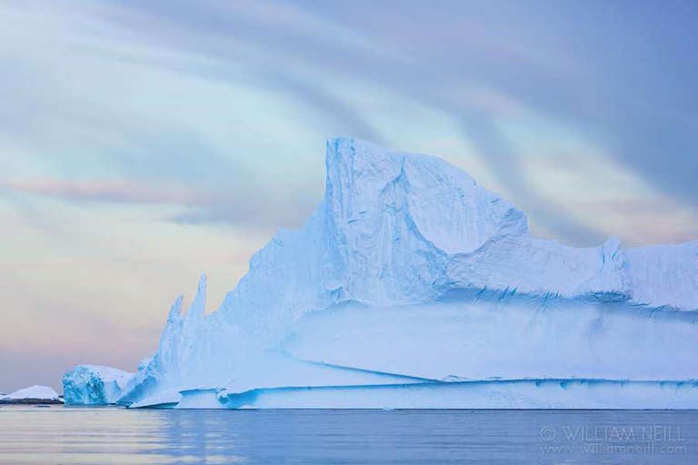 William Neill - Antarctica, 2014 For Sale at 1stDibs