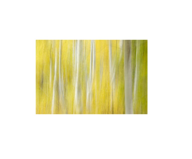 William Neill - Aspen Impressions II, June Lake Loop, Inyo National ...