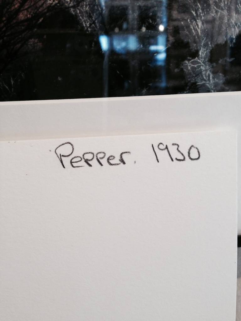 Edward Weston - Pepper #30 ~ 30P at 1stDibs