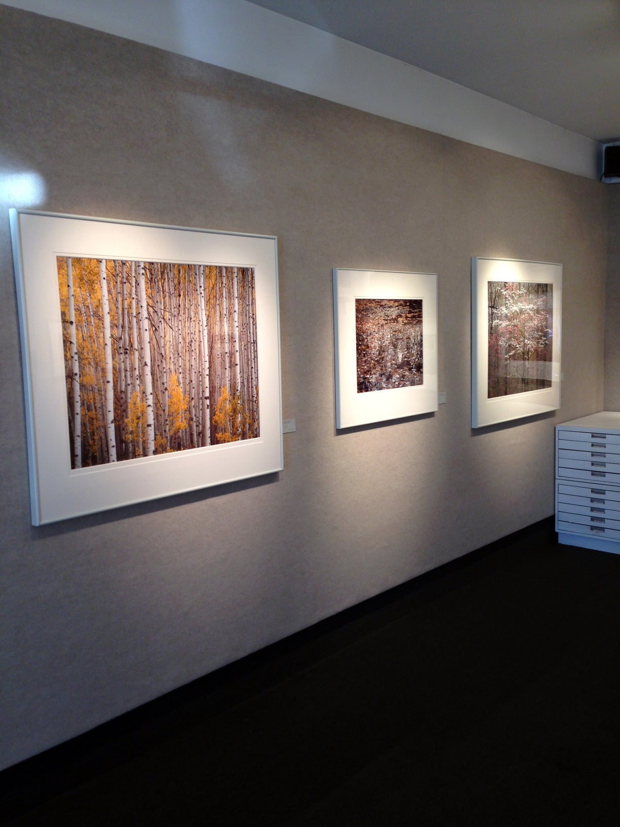 Christopher Burkett - Aspen Grove, Colorado at 1stDibs