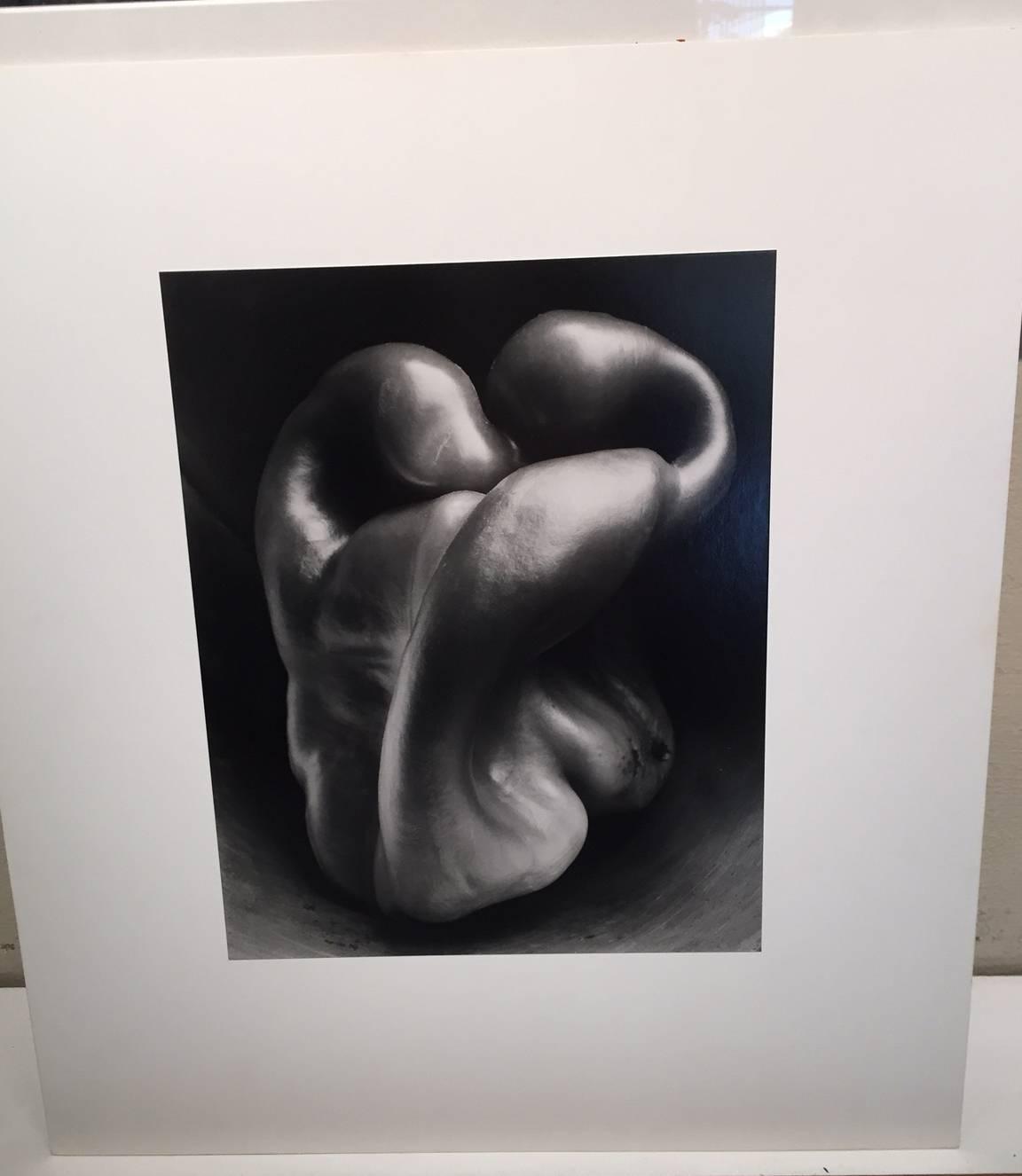 Edward Weston - Pepper ~ 30P at 1stdibs
