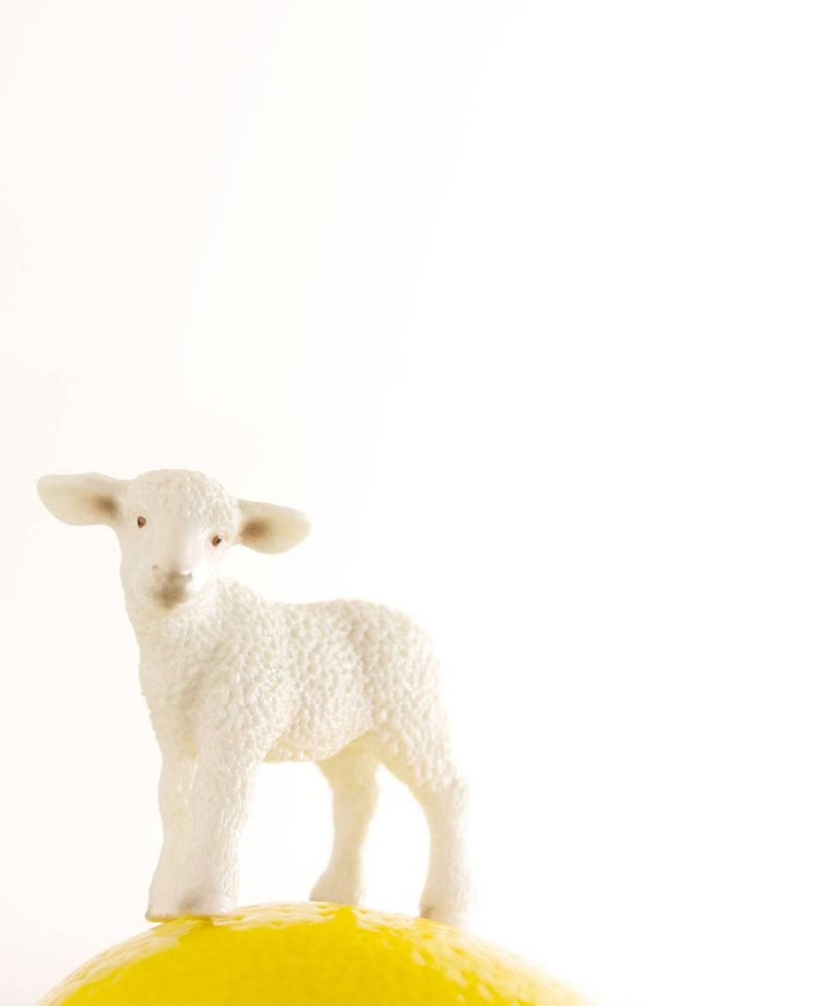Matthew Carden - Lemon the Lamb For Sale at 1stDibs