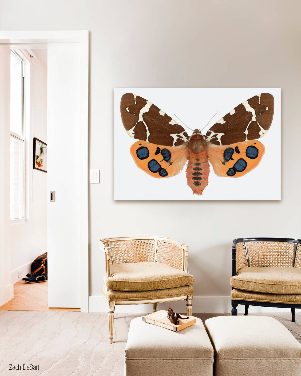 Joseph Scheer - Arctia Caja Americana For Sale at 1stDibs