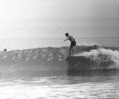 Grant Rohloff - Lone Dove For Sale at 1stdibs