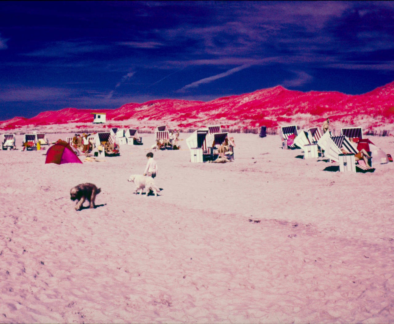 Matthew Tischler - Zylt For Sale at 1stDibs | matthew tischler, matt ...