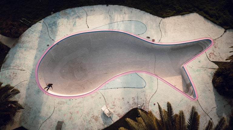 Josh Soskin - Fish Bowl For Sale at 1stDibs