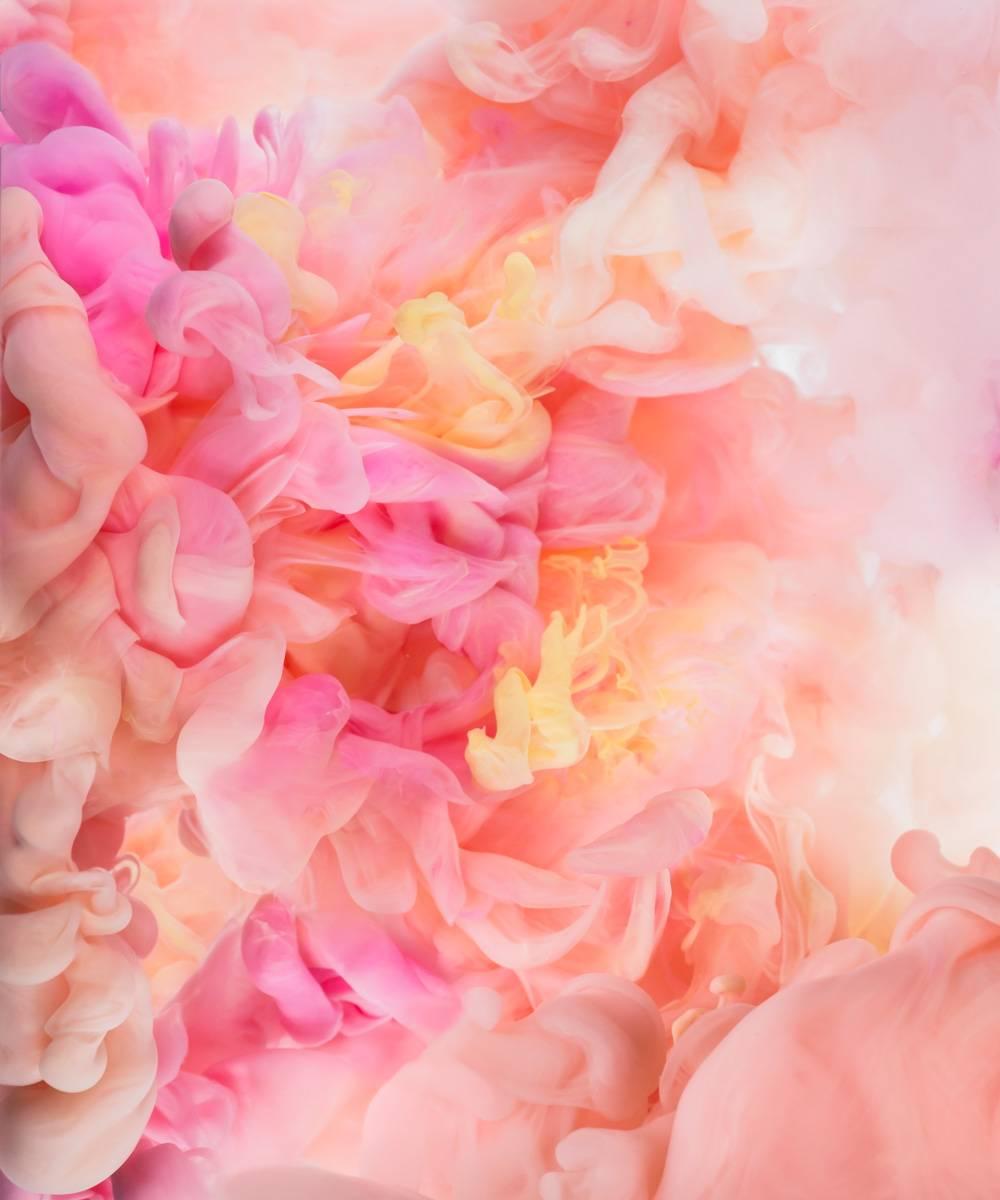 Lisa Creagh - E8.1 (Contemporary British Photography, Flora, Flowers ...