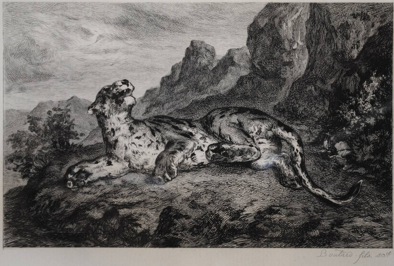 Eugène Delacroix - Tiger at 1stDibs