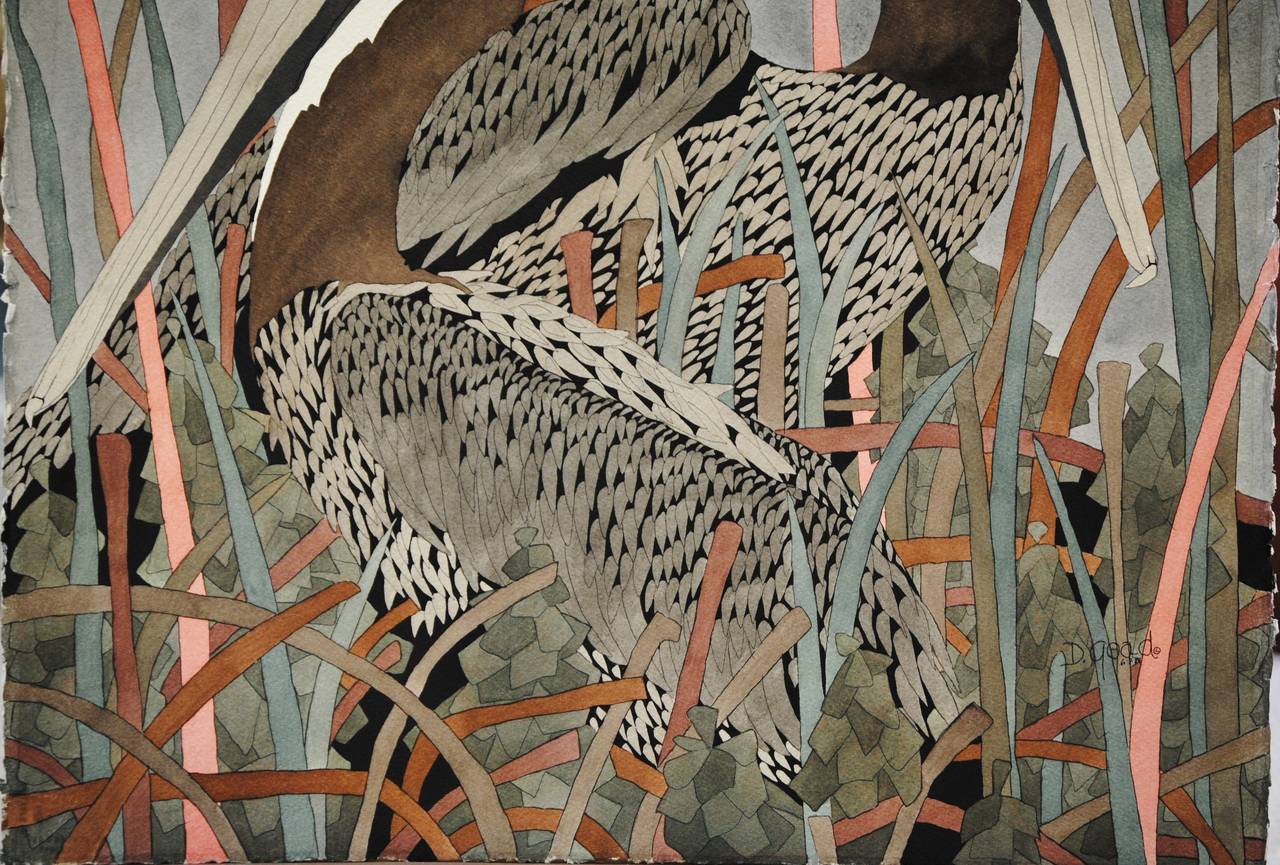 Dan Goad - Brown Pelicans For Sale at 1stdibs