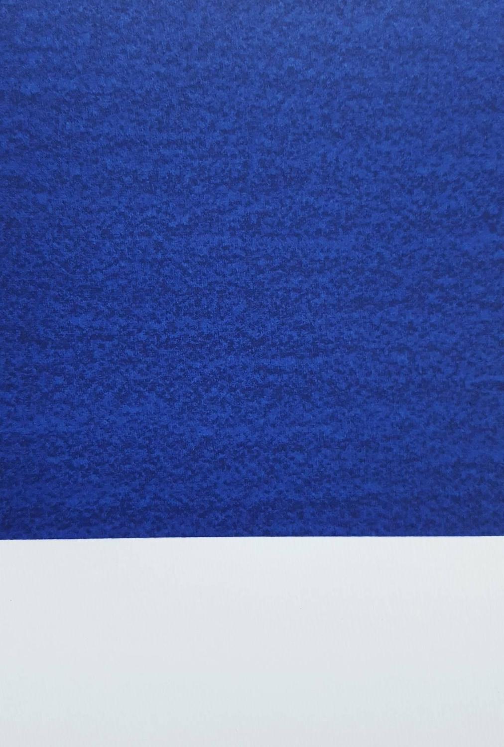 Yves Klein - Monochrome Bleu (IKB 3) For Sale at 1stdibs