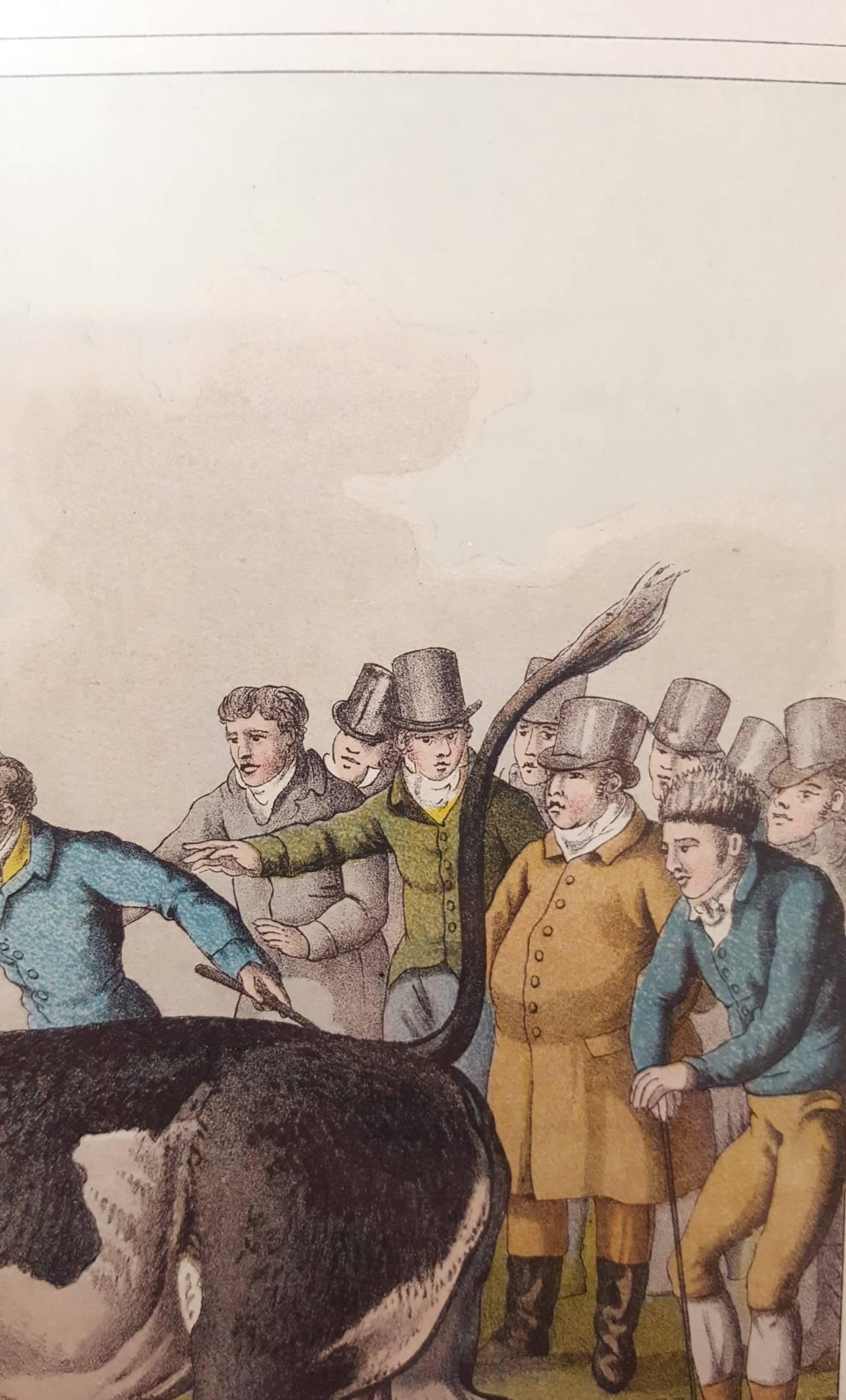 Henry Alken - Bull Baiting at 1stDibs | bull baiting print, henry alken ...