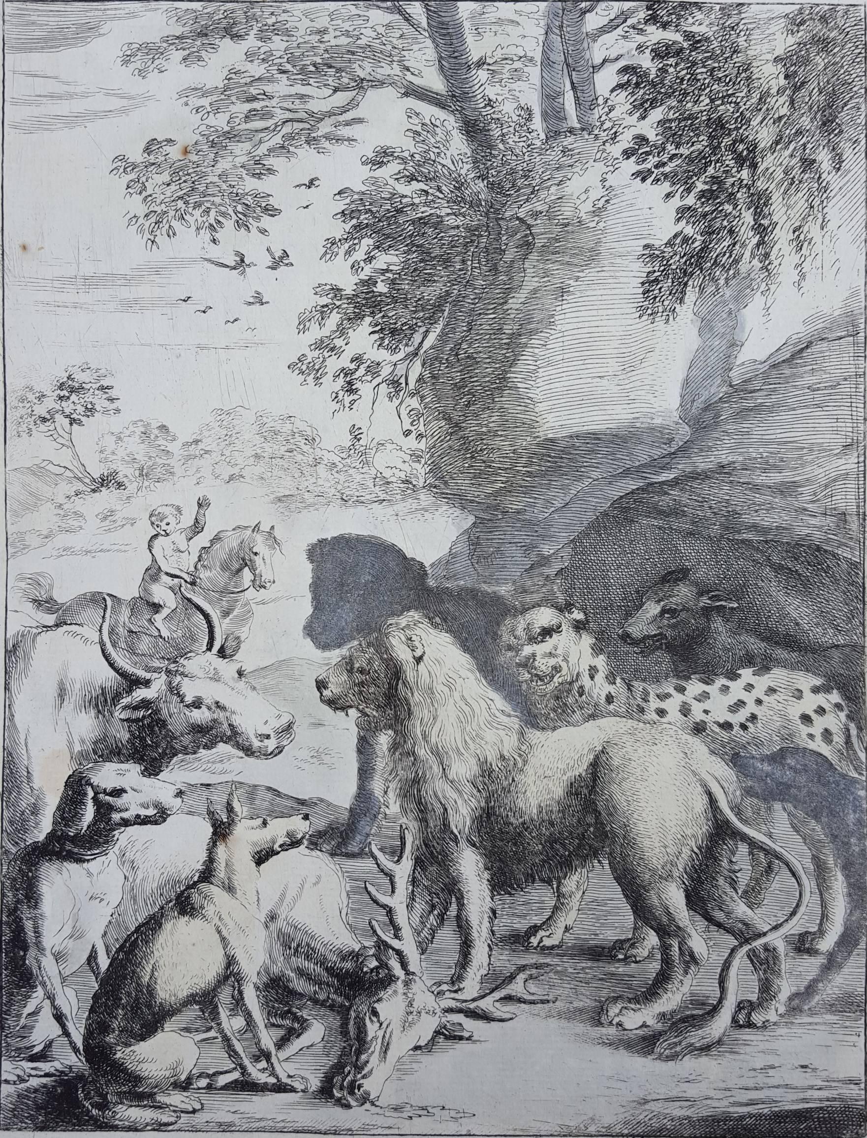 Matthäus Merian the Elder - Tab. LIV. Lynx, Tigris, Panthera For Sale ...