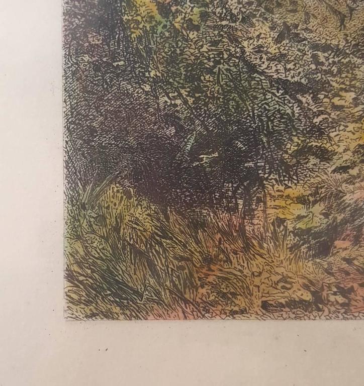 Karl Bodmer - Peacocks on a Bough For Sale at 1stdibs