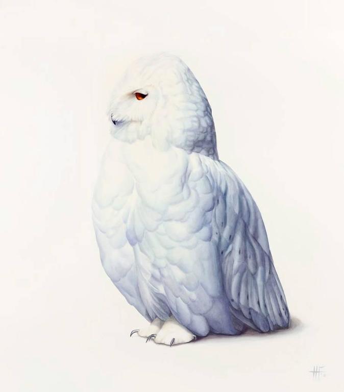 Peter Haslam-Fox - Owl at 1stDibs