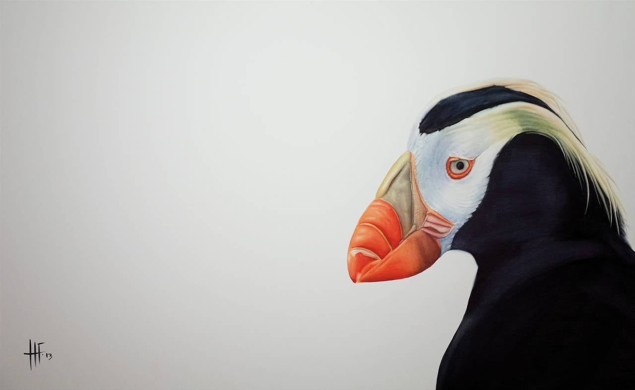 Peter Haslam-Fox - Puffin For Sale at 1stDibs | peter haslam