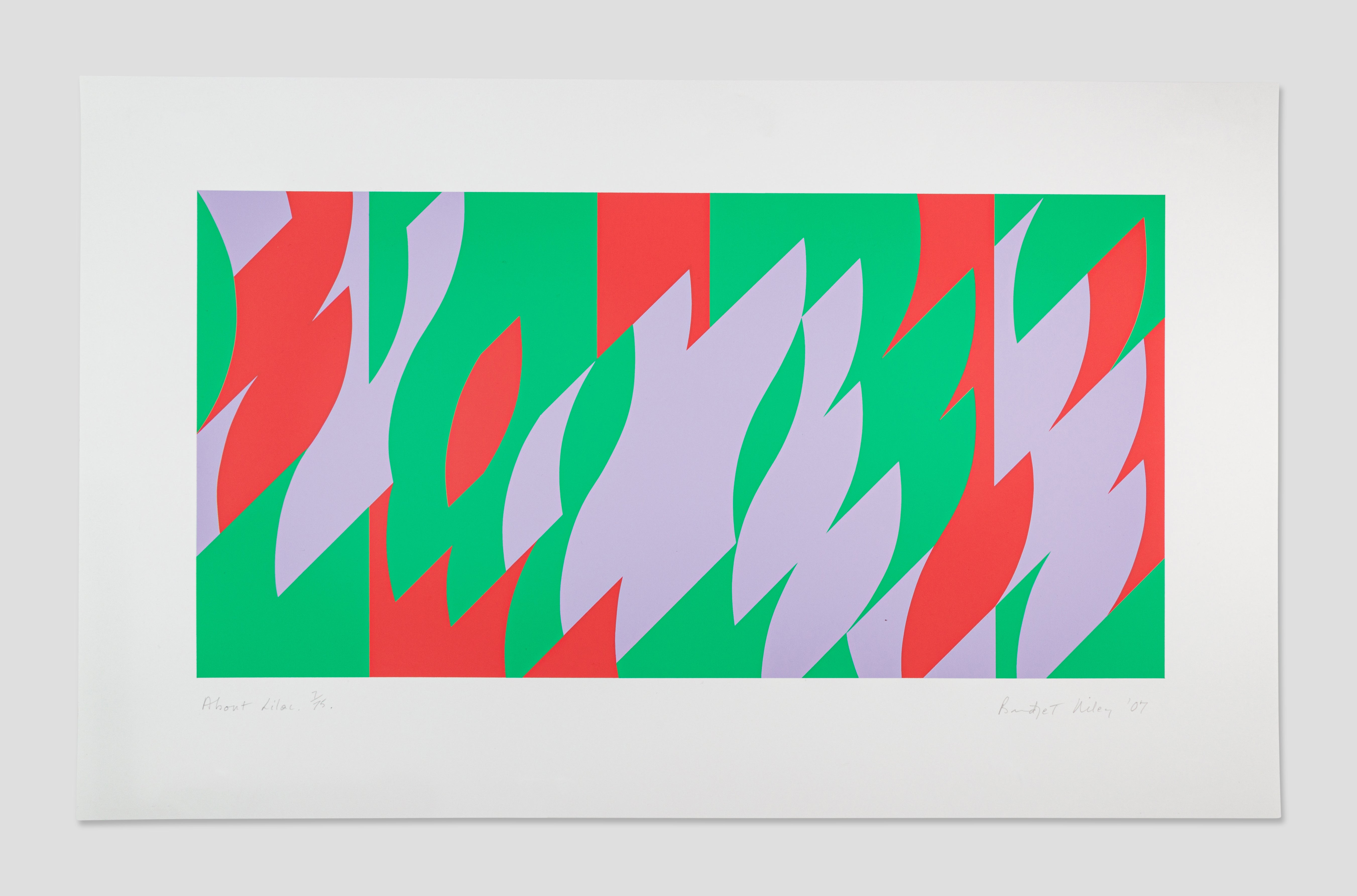 Bridget Riley - Rose Horizontal -- Screen Print, Stripes, Patterns, Op ...