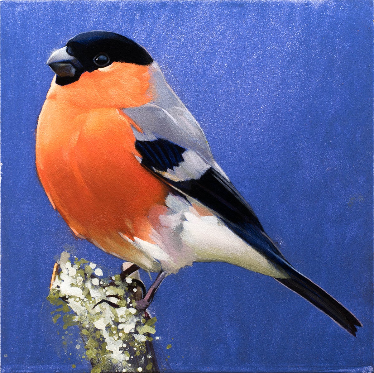 Jess Wathen - "Peer," Oil painting For Sale at 1stDibs