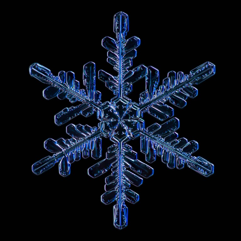 Douglas Levere - Snowflake 2015.02.02.007 For Sale at 1stDibs