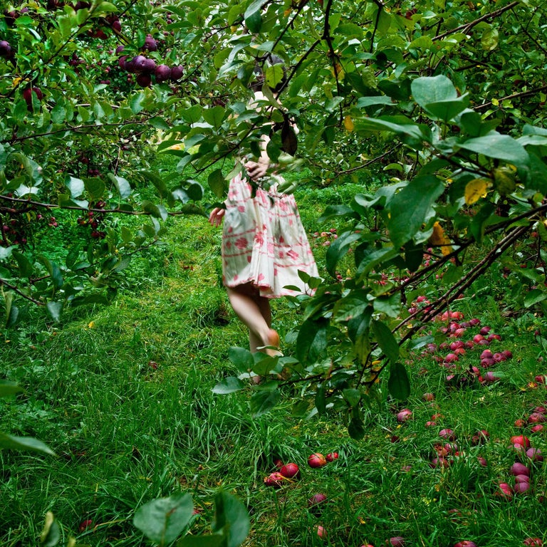 Cig Harvey - The Orchard For Sale at 1stDibs