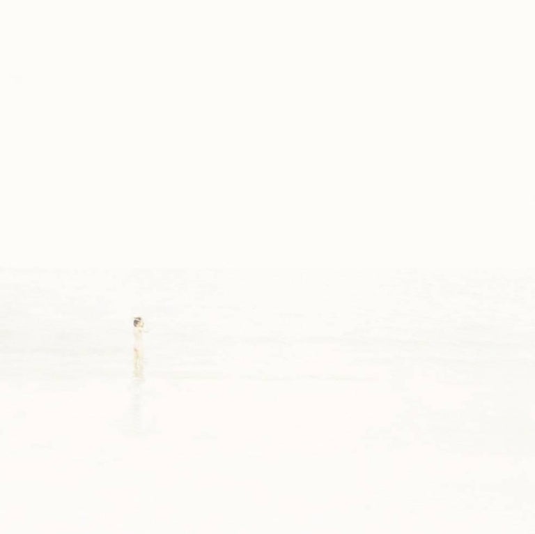 Maria Luisa Morando - Maria Luisa Morando For Sale at 1stDibs