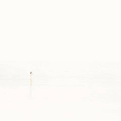 Maria Luisa Morando - White VI For Sale at 1stdibs