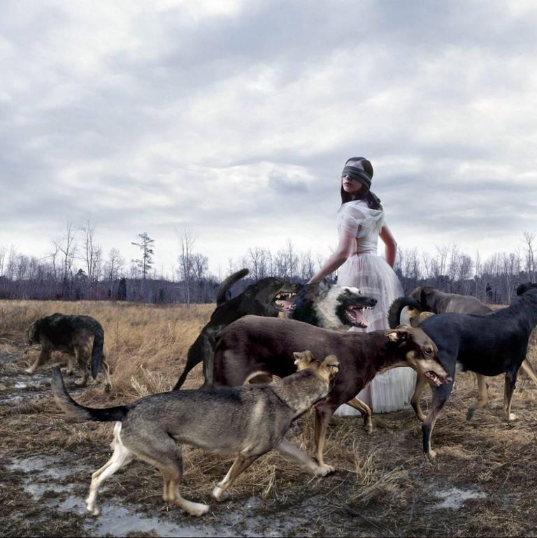 Tom Chambers - With the Pack For Sale at 1stDibs