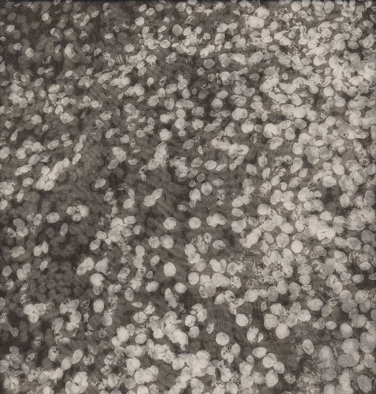 Chaco Terada - Flower Dust III For Sale at 1stDibs