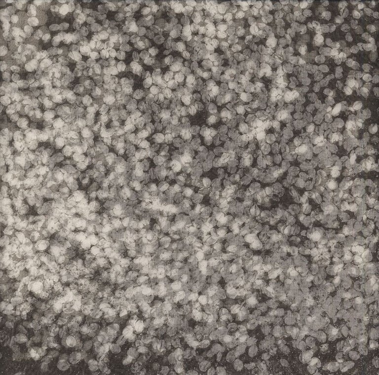 Chaco Terada - Flower Dust II For Sale at 1stDibs