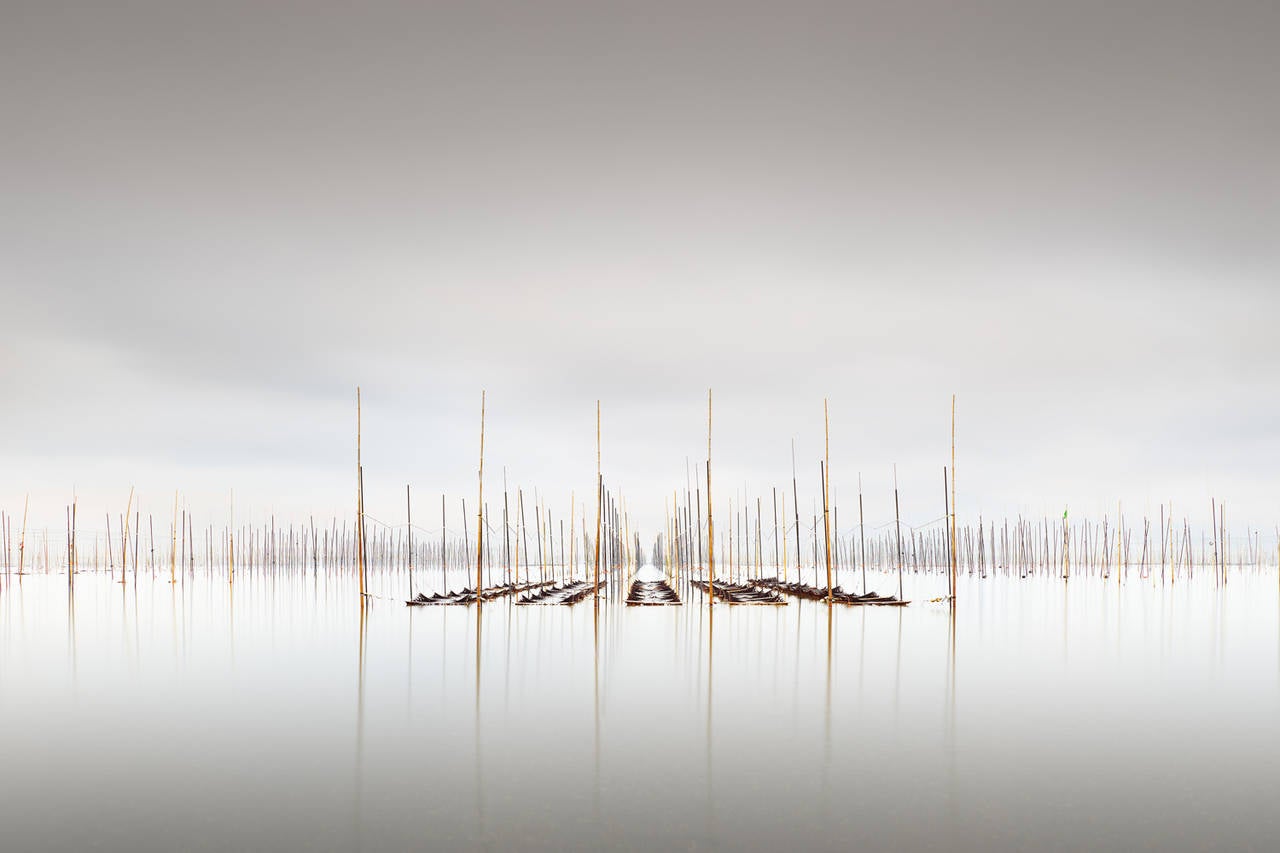 Michael Levin - Twilight For Sale at 1stDibs