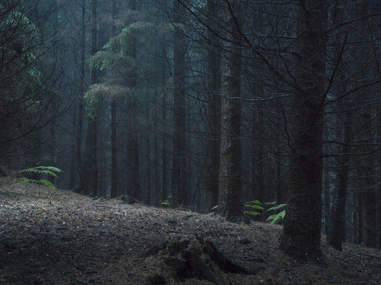 Michael Lange - WALD 4608 For Sale at 1stDibs | michael lange ...