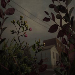 Daniel Shipp - Mixed Use Enclosure, Photograph: For Sale at 1stdibs