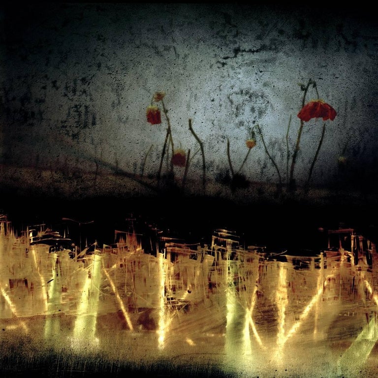 Carlos Tarrats - Untitled 10 For Sale at 1stDibs