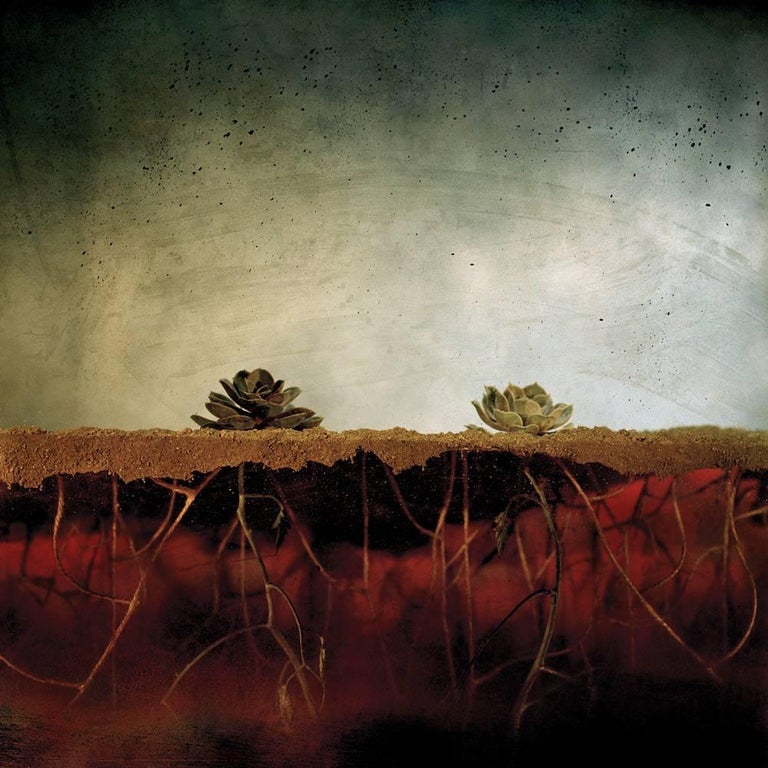 Carlos Tarrats - Untitled 13 For Sale at 1stDibs