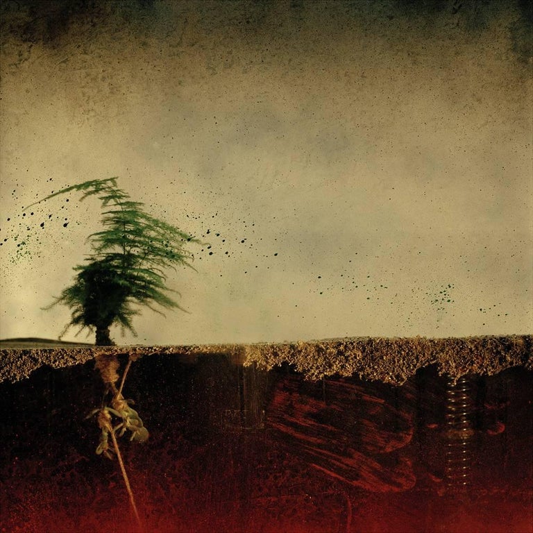 Carlos Tarrats - Untitled 15 For Sale at 1stDibs