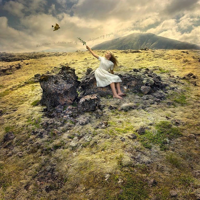 Tom Chambers - Last Bough For Sale at 1stDibs