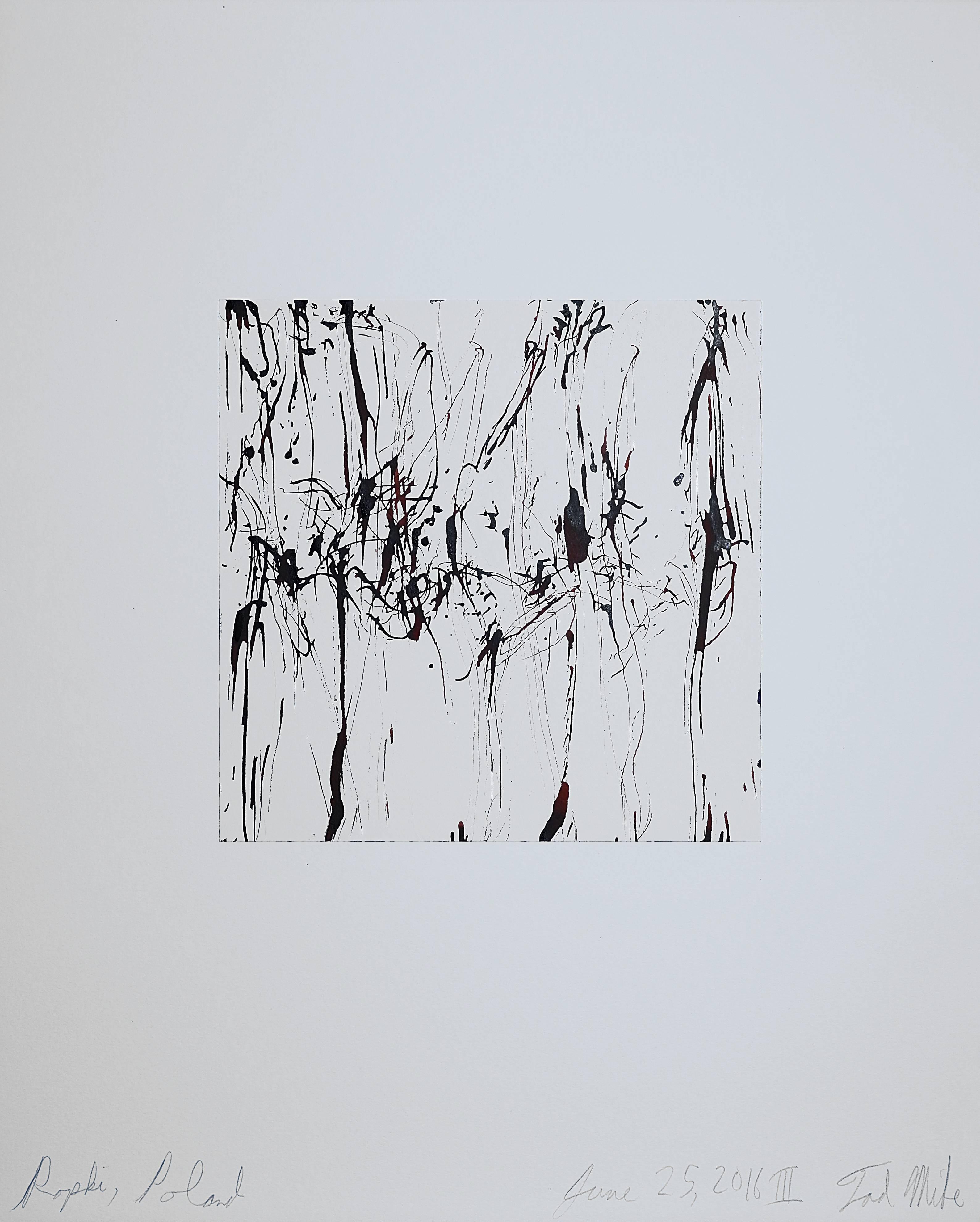 Tad Mike - Ropki, Poland June 25, 2016 III For Sale at 1stDibs