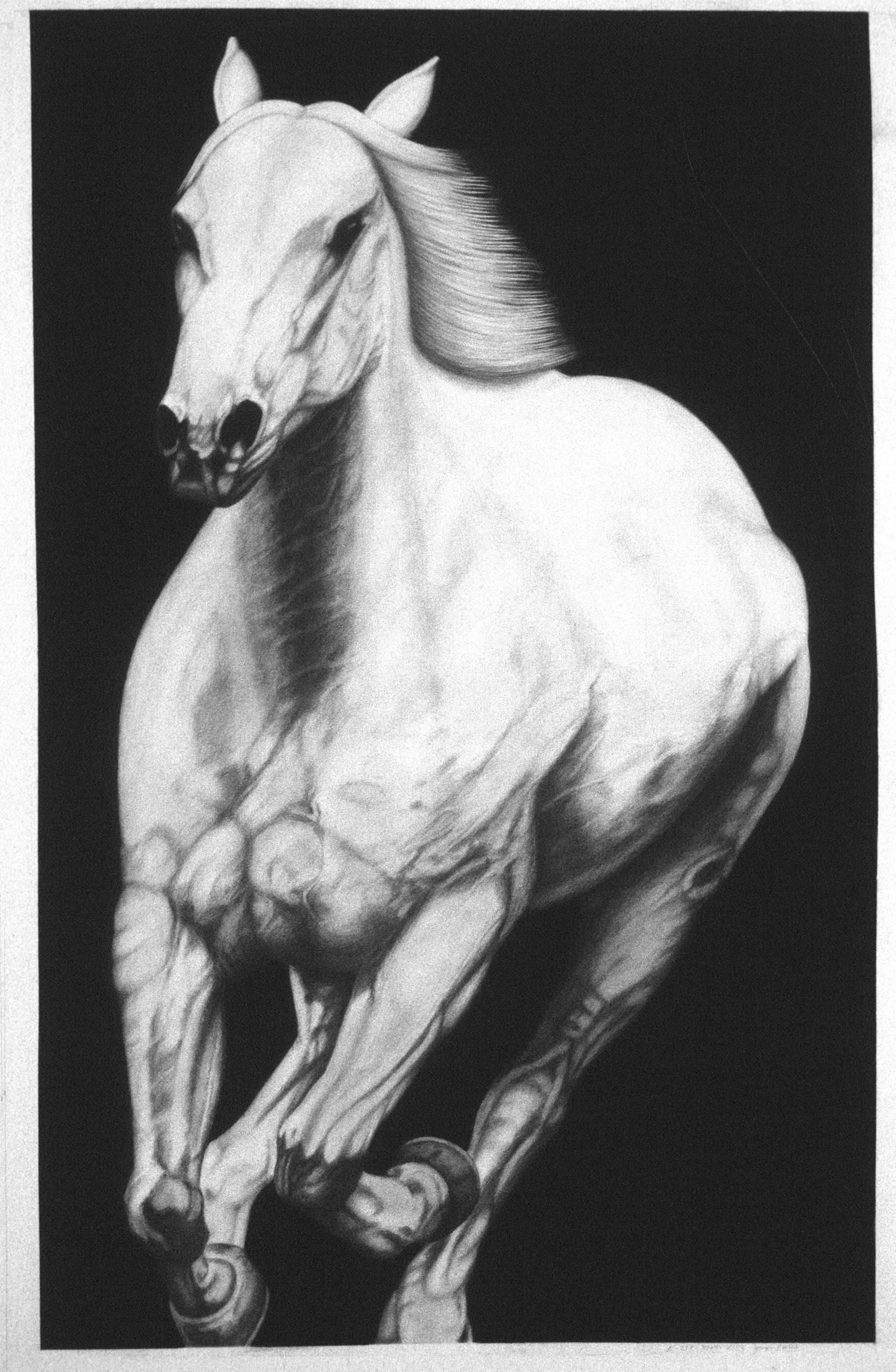 Joseph Piccillo - E-238 For Sale at 1stDibs