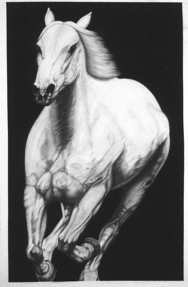 Joseph Piccillo - E-238 For Sale at 1stDibs