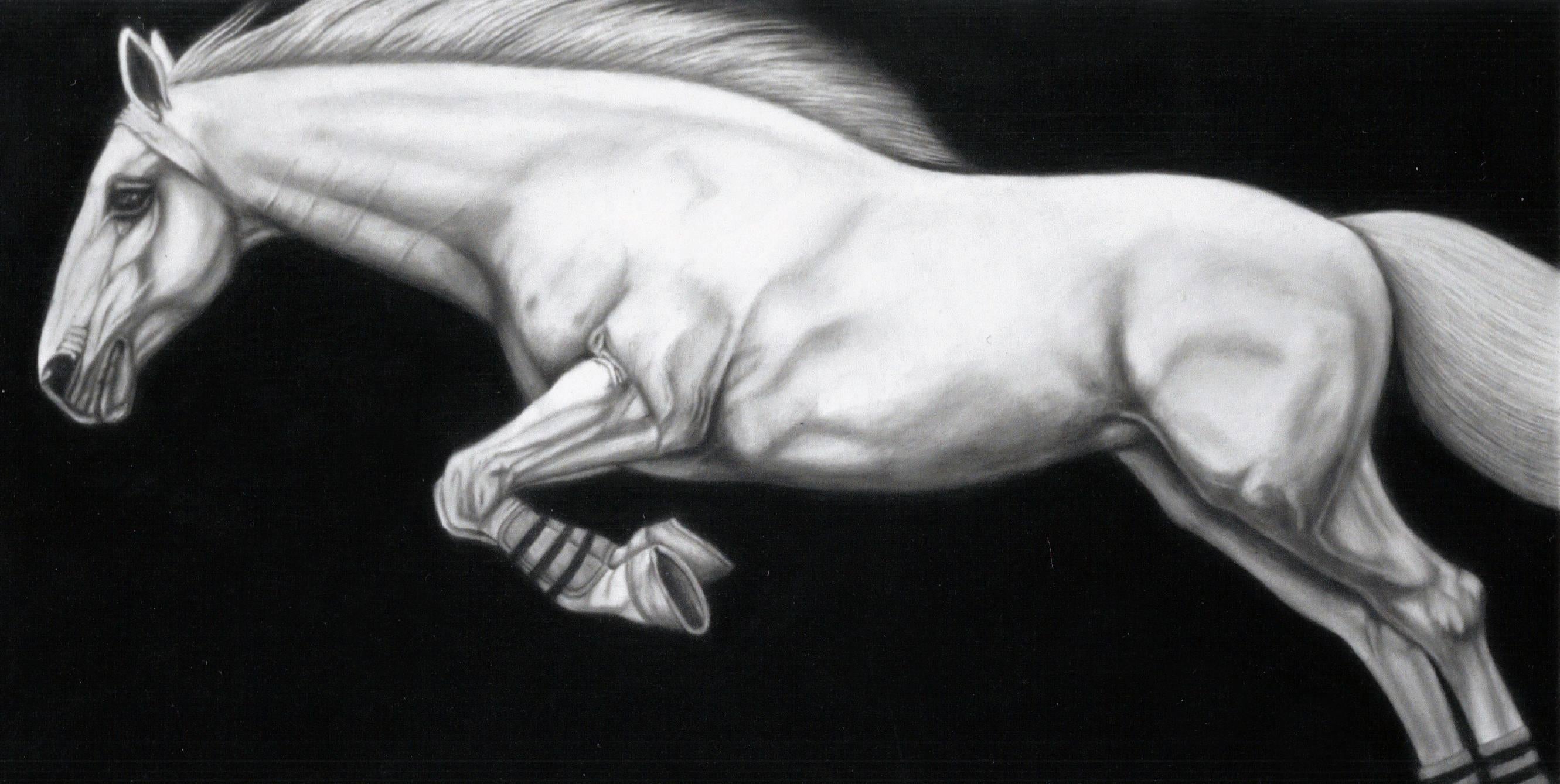 Joseph Piccillo - E-241 For Sale at 1stDibs