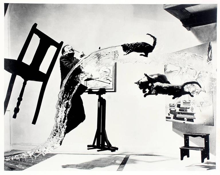 Philippe Halsman - Dali Atomicus at 1stDibs