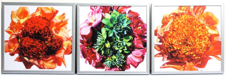Augustina Droze - Botanical Series For Sale at 1stDibs