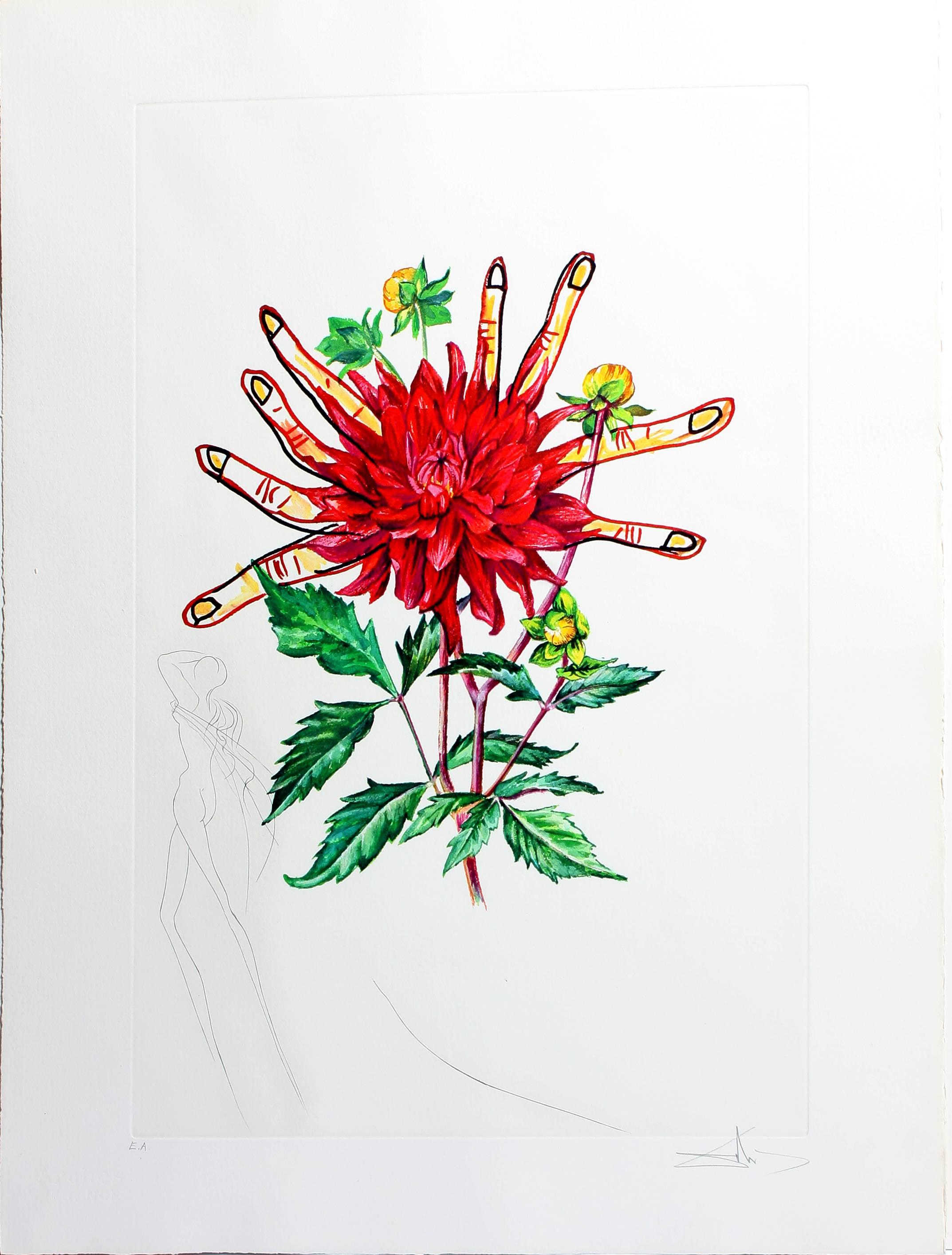 Salvador Dalí­ - Flowers and Fruits at 1stDibs