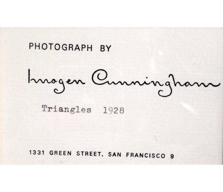 Imogen Cunningham - Triangles For Sale at 1stdibs