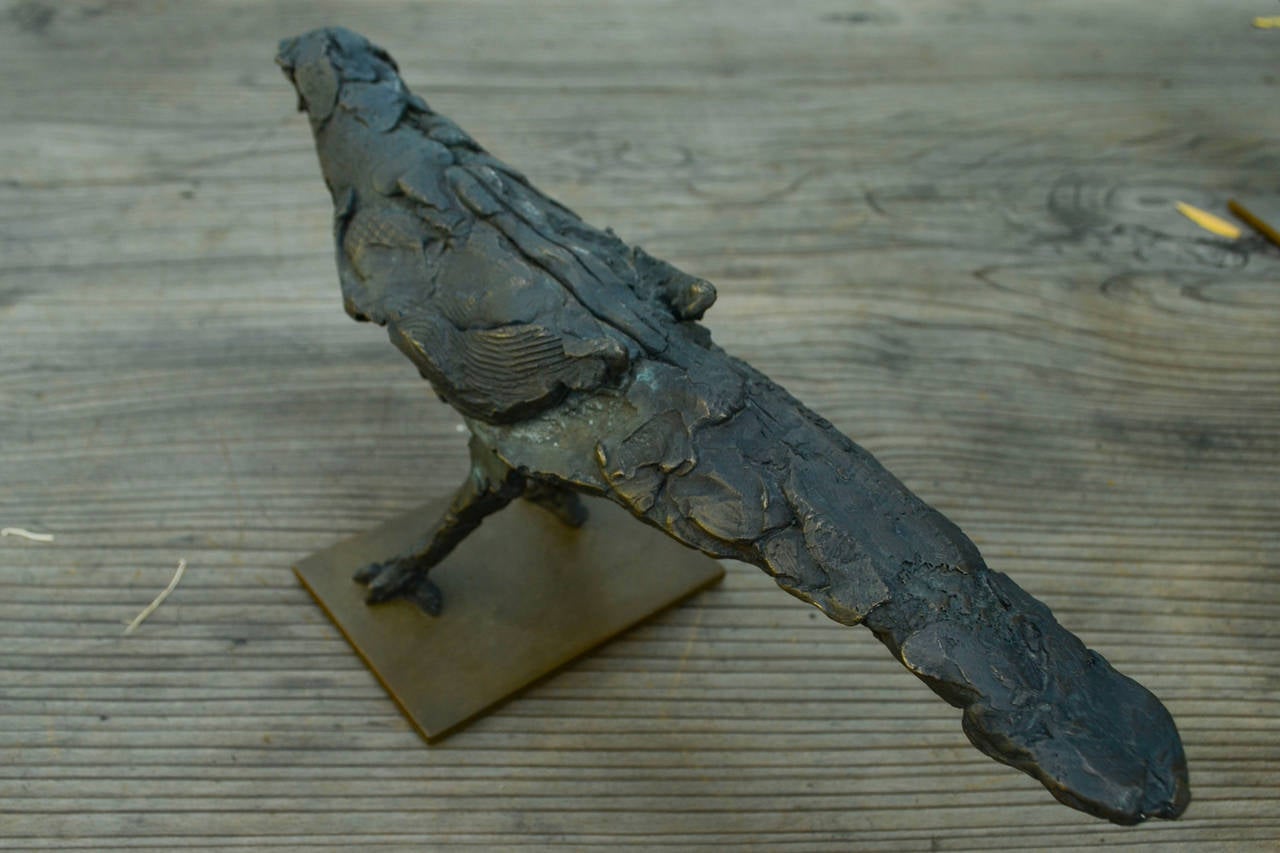 Sharon Loper - Jupiter Blackbird For Sale at 1stDibs