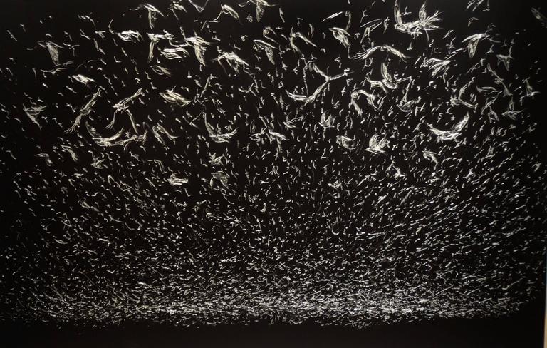 Mitchell Lonas - Murmuration, 2016 For Sale at 1stDibs