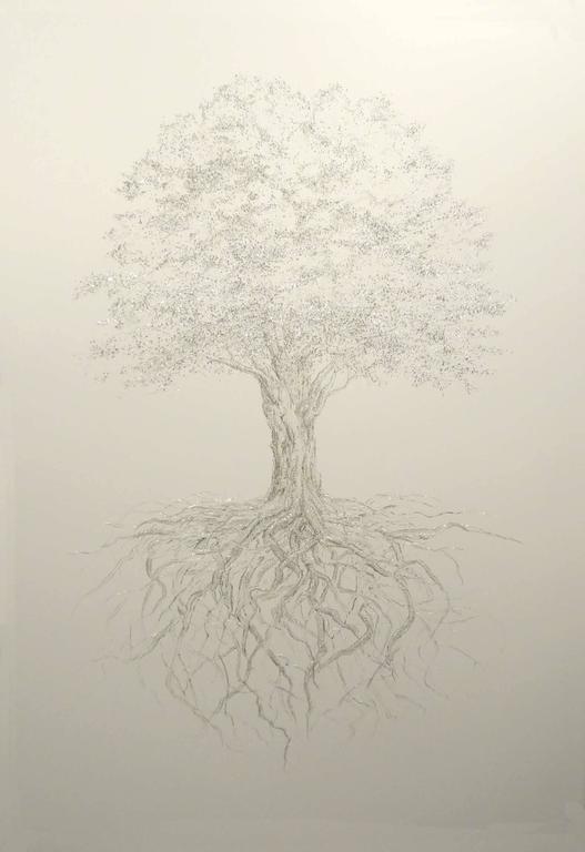 Sugar Maple Drawing
