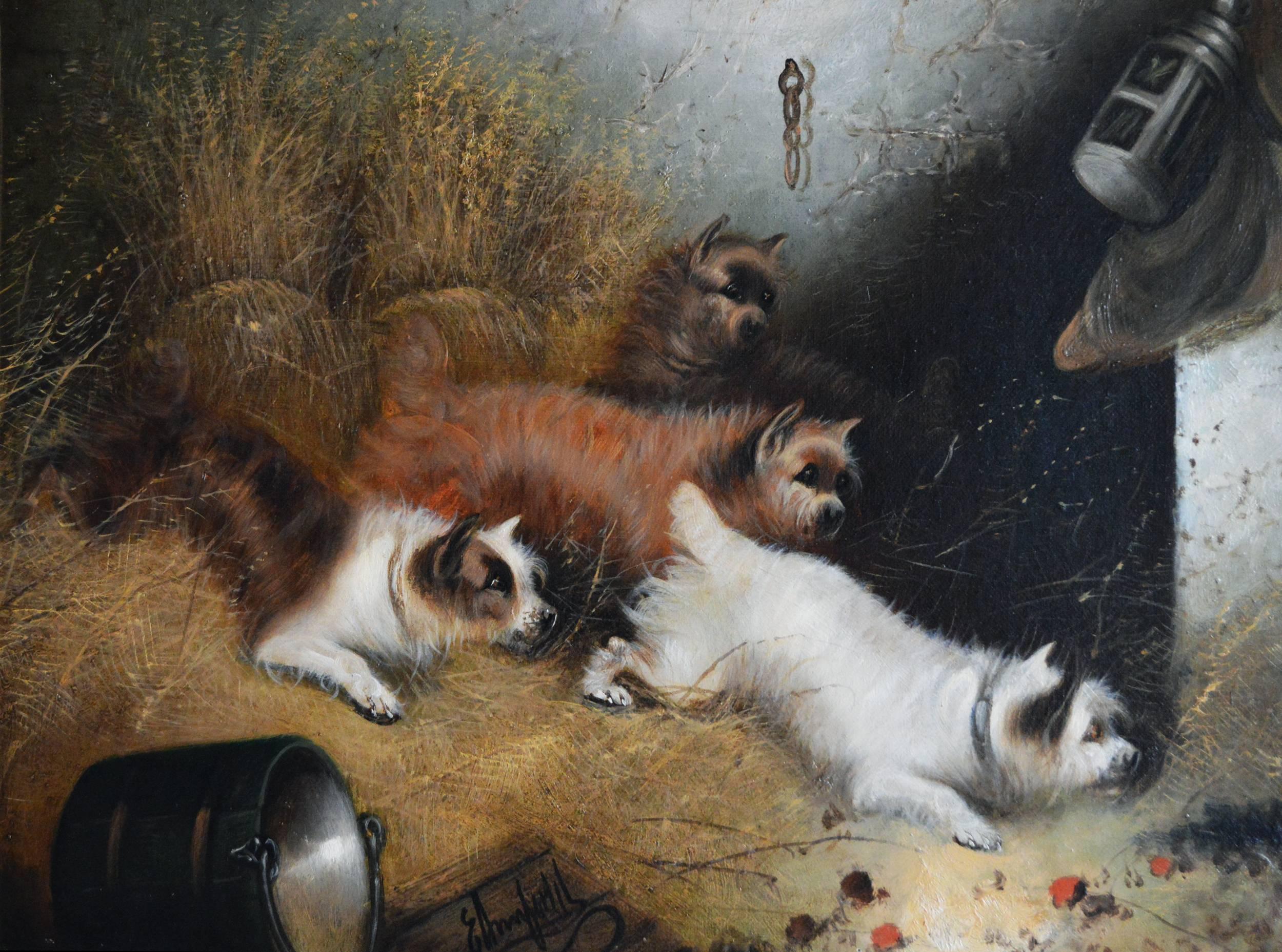 Edward Armfield - 19th Century pair of oil paintings with terriers ...