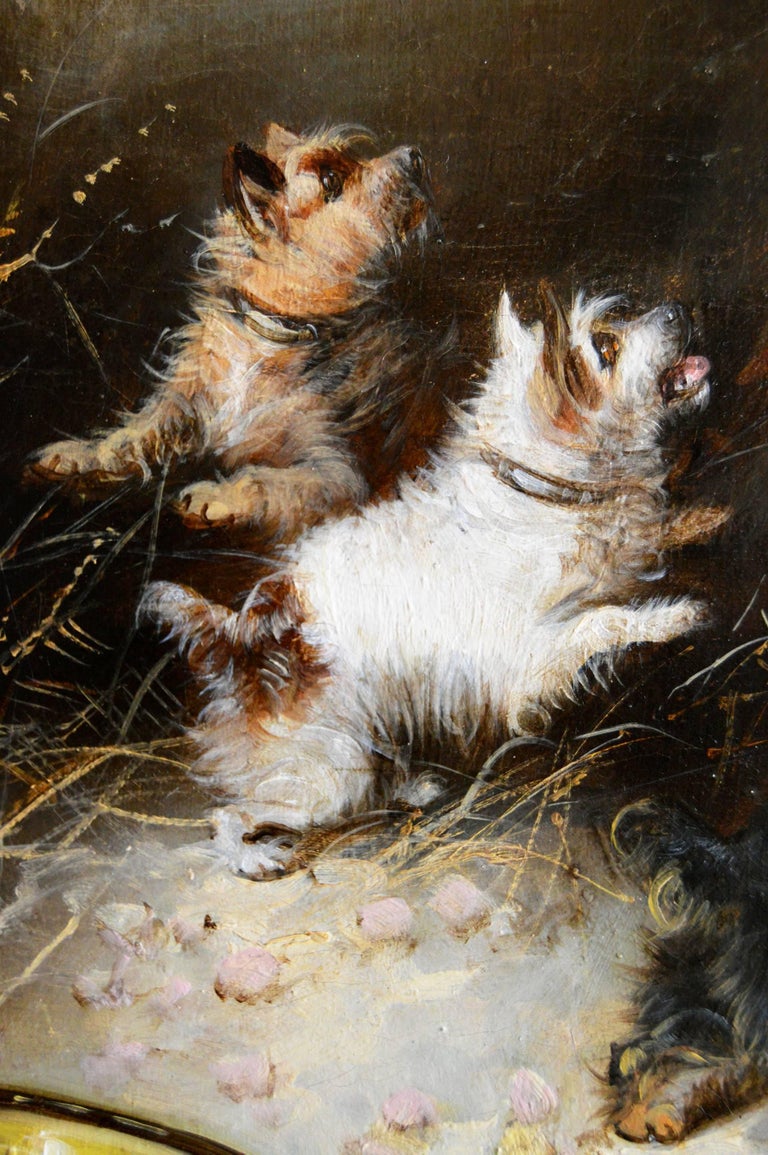 Edward Armfield - Pair of 19th Century sporting oil painting with ...