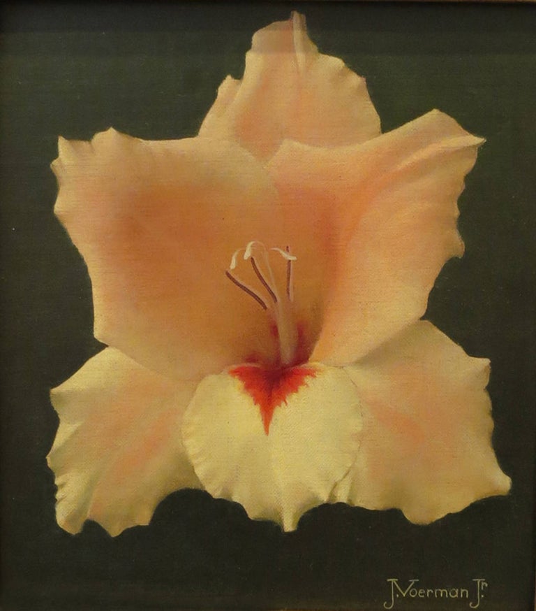 Jan Voerman Jr. - "Gladiola, Pink and Red" For Sale at 1stDibs | j ...