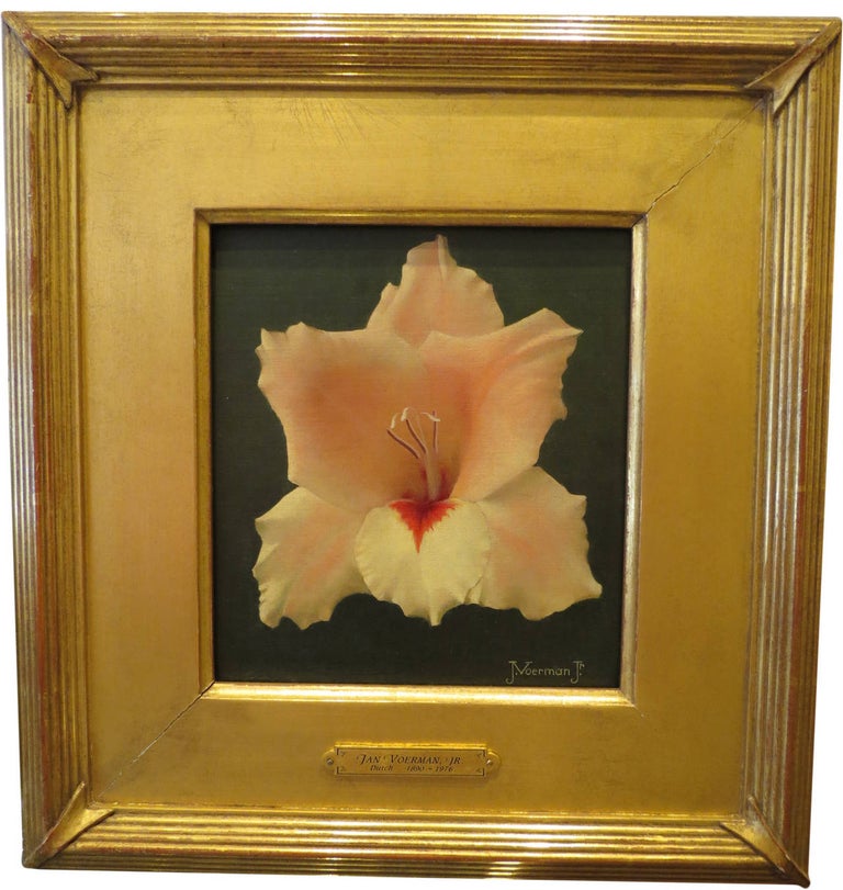 Jan Voerman Jr. - "Gladiola, Pink and Red" For Sale at 1stDibs | j ...